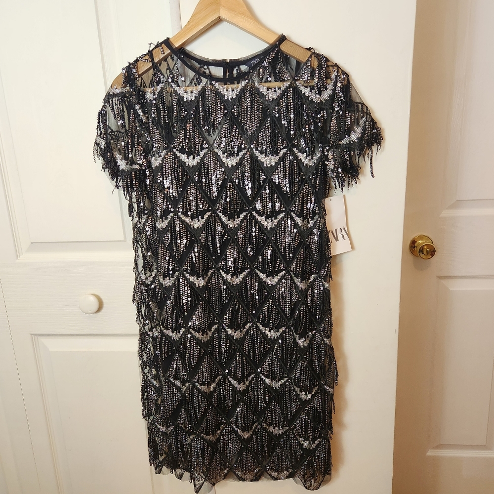 Zara Sequin Fringe Mesh Mini Dress - Gem